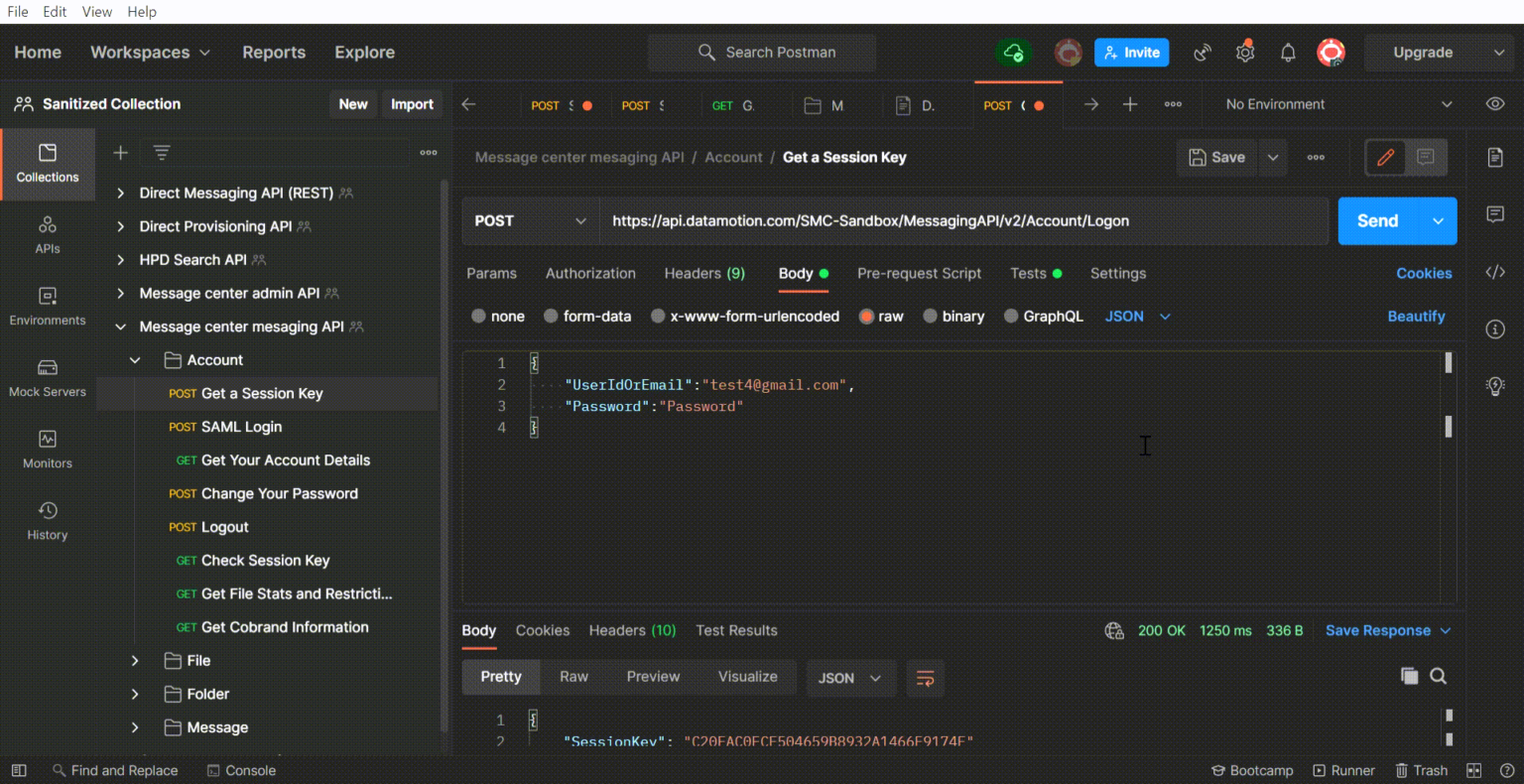 8 Tips for Using Postman for API Testing | DataMotion