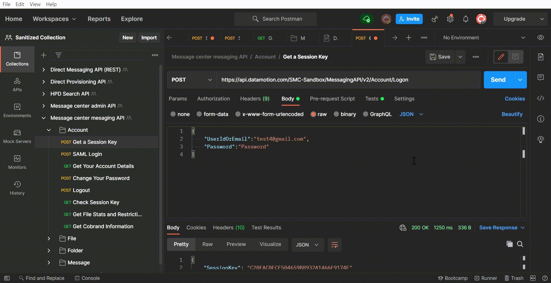 8 Tips for Using Postman for API Testing | DataMotion